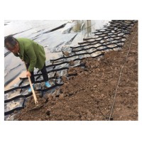 Quality Smooth Plastic HDPE Geocell Confinement System for sale