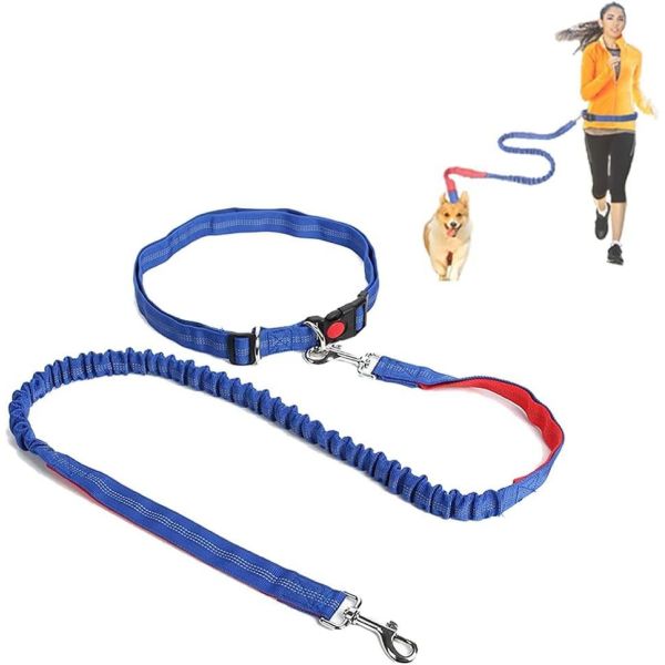 Quality Adjustable Hands-Free Pet Dog Running Leashes Custom Logo Long Waist Double Nylon Rope for sale