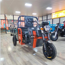 Quality Truck E Cargo Trike Electric Delivery Trike 800W Transportation for sale