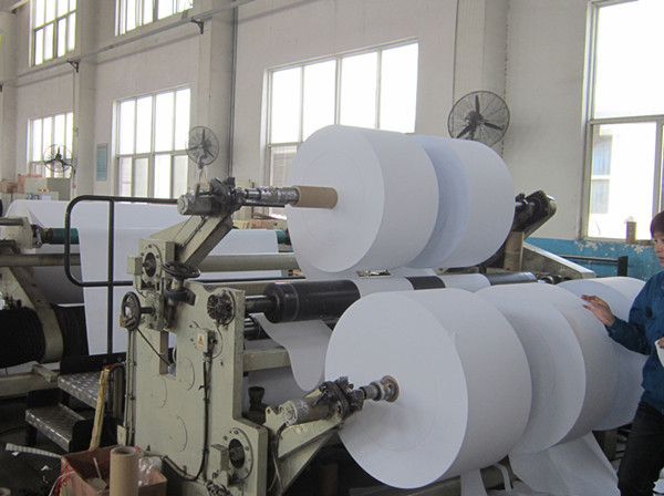 Blue And Black Imaging Jumbo Thermal Paper Roll With 5-7 Years Image Life