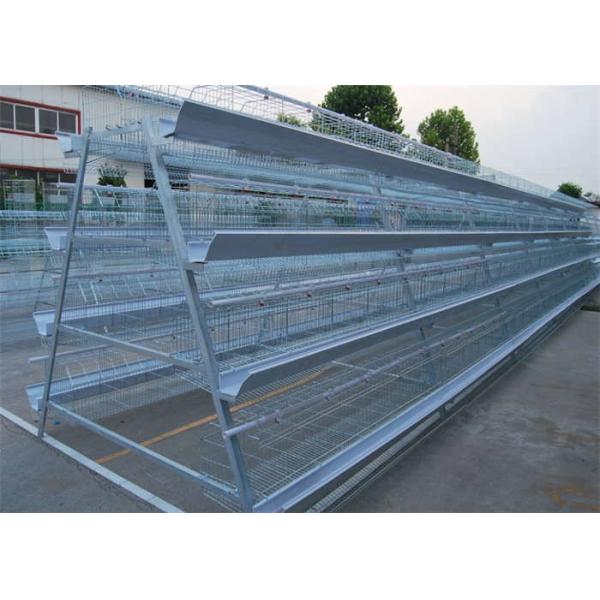 Quality Laminated Egg Laying Chicken House for sale