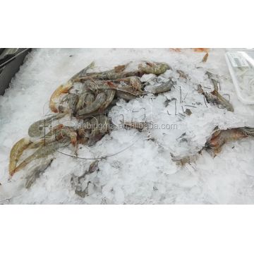 Quality 1 Tons Freshwater Flake Ice Machine Commercial 380V 220V for sale