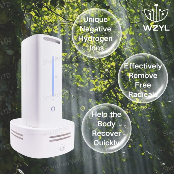 Quality 12V Negative Hydrogen Oxygen Inhale Generator 18W WEIZI WZ-HX02 for sale