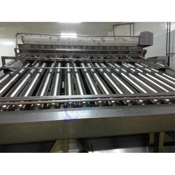 Quality 304 stainless steel 18 roller fish sorting machine Fish size screening machine for sale