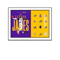 Quality Jordan and LeBron James Basketball Star Wall Murals for Living Room and Bedroom for sale