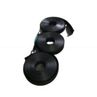 Quality Fiber Reinforced PET Geo Strap Production Line with Single-screw Design for sale