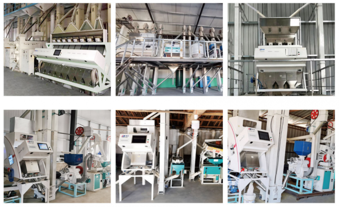 7 Chutes Wheat Color Sorter Intelligent Optical Sorting Equipment 1