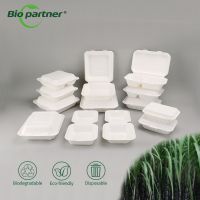Quality Biopartner Custom Size Biodegradable Sugarcane Bagasse Food Container Pulp for sale