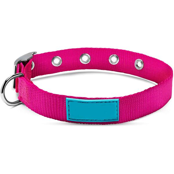Quality Adjustable Dog Harness Leash Custom Fit 3 Sizes Option With Metal Buckle for sale
