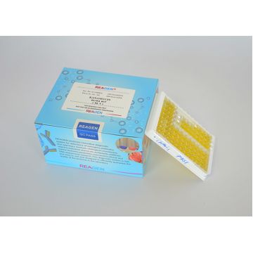 Quality High Sensitivity Drug Residue Test Kit Zilpaterol ELISA Testing Kit Free Samples for sale