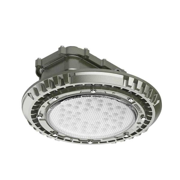 Quality Reliable LED Floodlight With Durability And Corrosion Resistance for sale