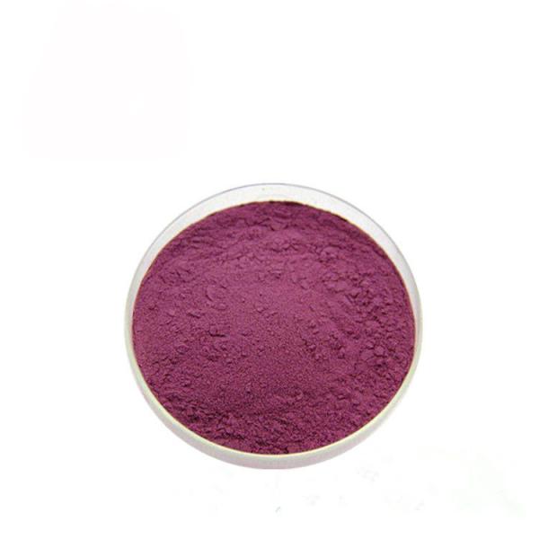 Quality Concentrated Juice Black Currant 10% Anthocyanin Extract Powder for sale