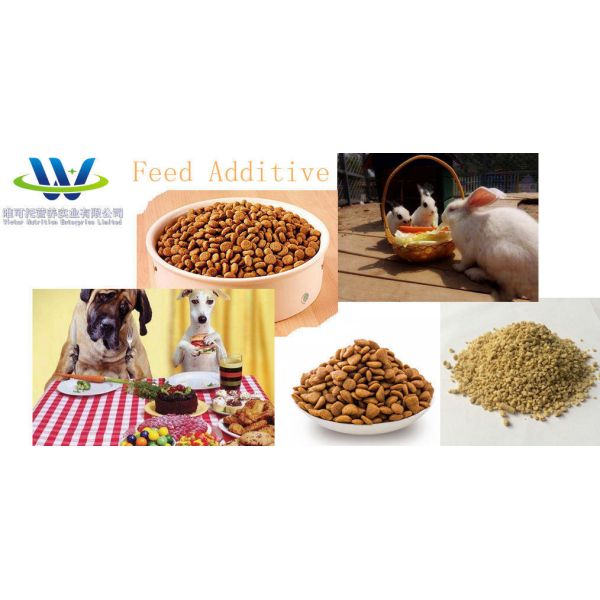 Quality Feed Grade Customization Customized Request L-Lysine HCl for sale