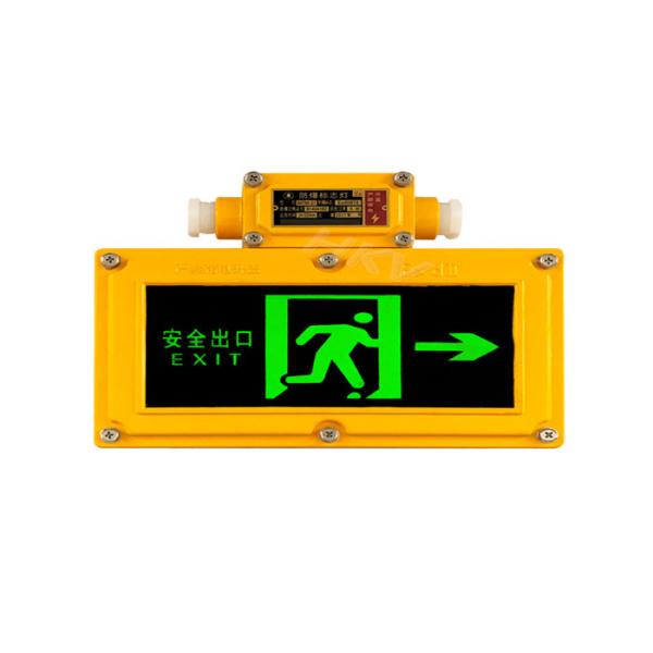 Quality Automatic Lighting Explosion Proof Emergency Light 0.3S Emergency Start for sale