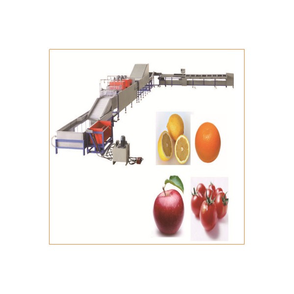 Quality Citrus Fruit Tomato Sorter Machine And Vegetable Washer Machine for sale