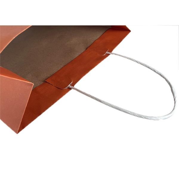 Quality CMYK 300gsm Gift Paper Shopping Bags OEM Pantone for sale