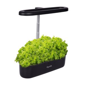 Quality Full Spectrum Hydroponic Growing System AC90V Hydroponic Starter Kit for sale