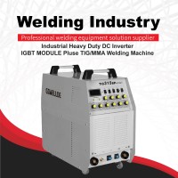 Quality Inverter based TIG/ARC welding 60Hz Portable Welding Machine for Home Use for sale