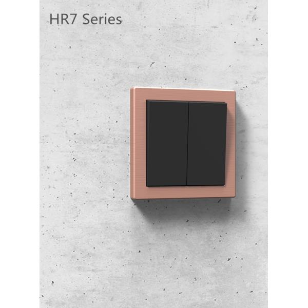Quality 1 Gang 1 Way Panel Electrical Wall Switch High voltage 250V 10A for sale