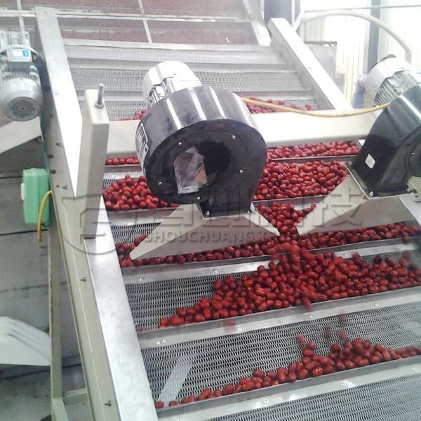 Quality Dried Jujube Apricot Continuous Belt Dryer Fruit Drying Processing System for sale