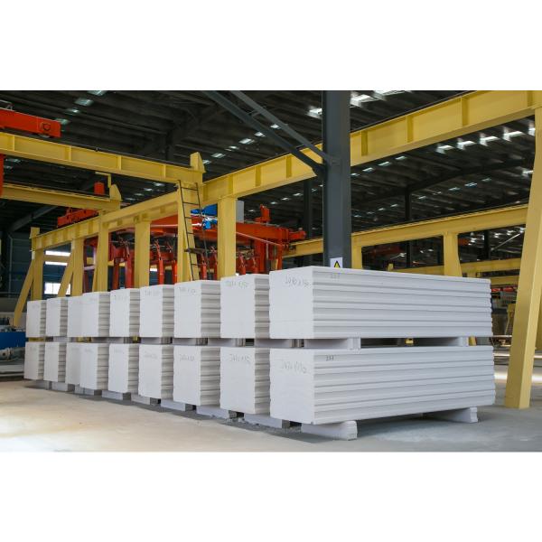 Quality 1000KG Aerated Brick Horizontal Packing Machine for sale