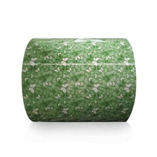 Quality Printed Flower Pattern Prepainted Galvanized Steel Coil for sale