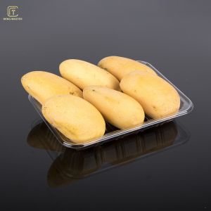 Quality Recycled Disposable 20*15*3cm Disposable Fruit Tray for sale
