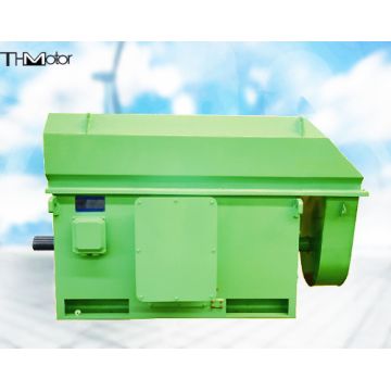 Quality Large Scale 300r/Min TMW Brushless Synchronous Motor 10 KV IEC GB for sale