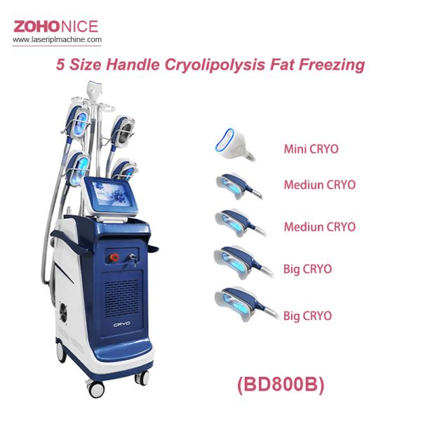 Quality 360 Angle Vertical Double Chin Cryolipolysis Slimming Machine for sale