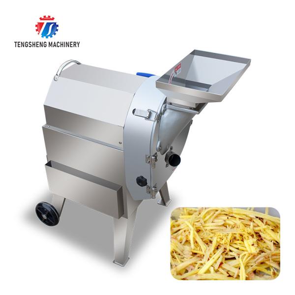 Quality 1.5KW 220/380V Multifunction Stainless Steel Carrot Slicer Machine TS-Q112A for sale