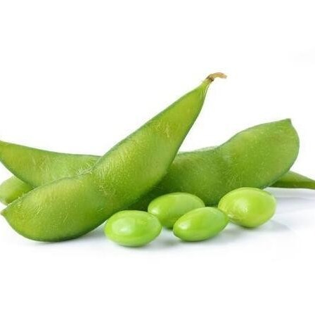Quality Common Organic Frozen Edamame Beans With KOSHER BRC Certification for sale