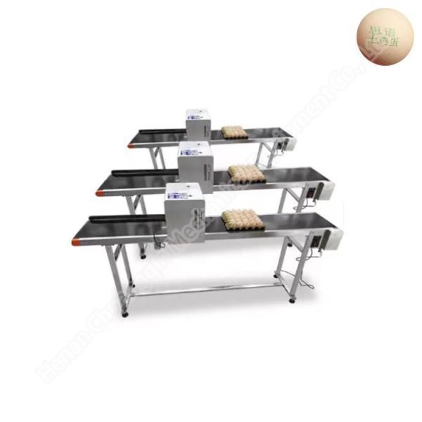 Quality Automatic Electric Egg Processing Machine Coding Carton Printing 60kg 100w for sale