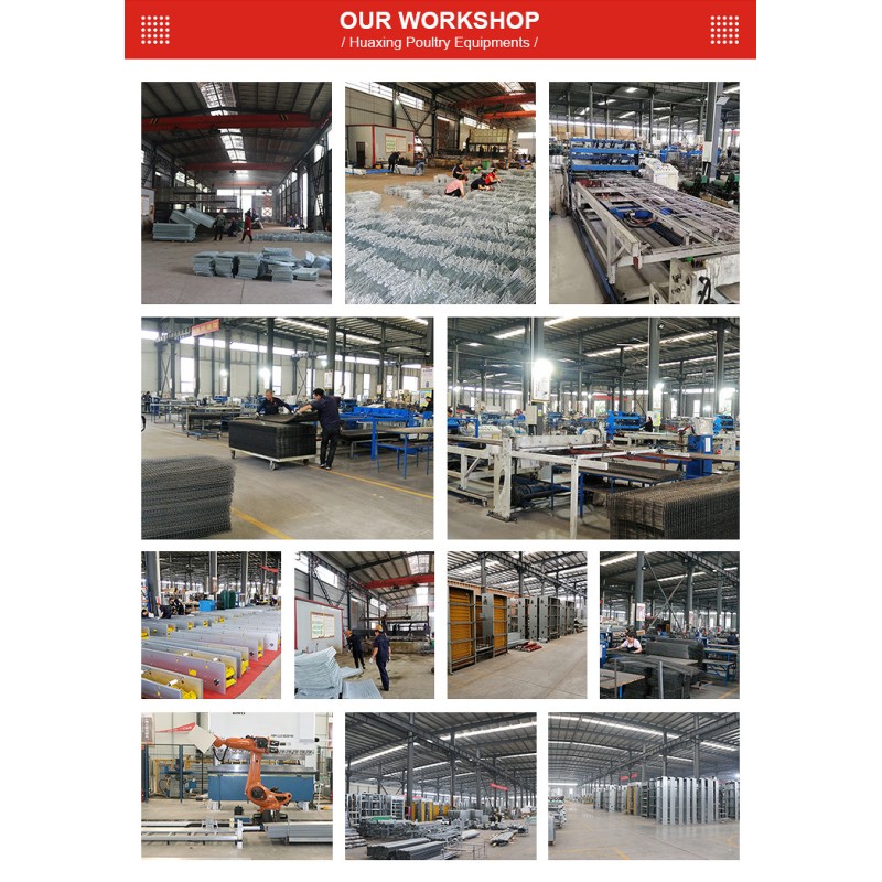 H TYPE LAYER CAGE (14).jpg