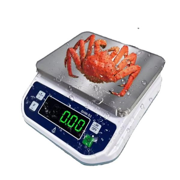 Quality 6KG Capacity LED Display Waterproof Scale for Food Processing Baking and High Precision for sale