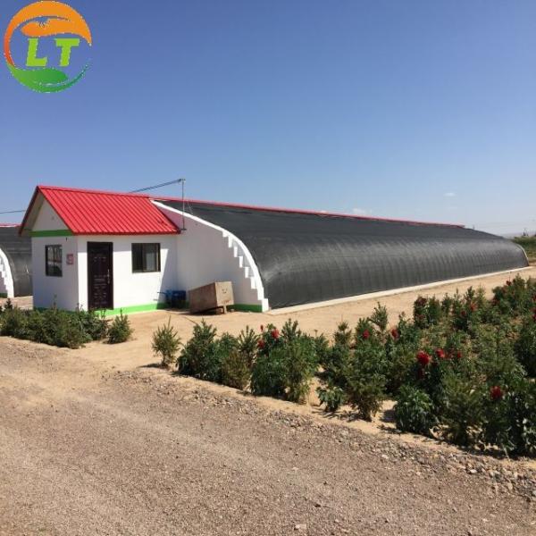 Quality Film Agricultural Solar Greenhouses Maximize Your Vegetable Fruits and Flowers for sale