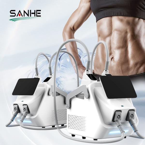 Quality 2 Handles Cryolipolysis 360 Machine Fat Removal Body Slimming Machine for sale