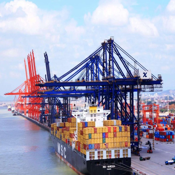 Quality China To Amazon USA LCL Door To Door Sea Freight for sale