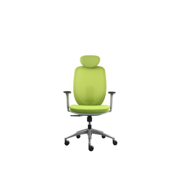 Quality Green Mesh Adjustable Ergonomic Chair , H1165-1260MM Ergo Computer Chair for sale