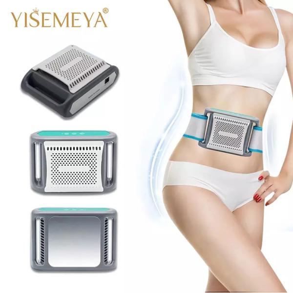 Quality Home Use Slimming Criolipolisis Machine Cryo Cold Fat Reduction Cryotherapy for sale