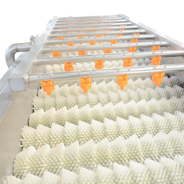 Quality Jujube Miscellaneous 300kg Fruit Vegetable Washing Machine for sale