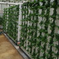china Skyplant Customized NFT Vertical Climate Control Hydroponic Growing Systems