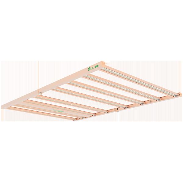 Quality Champagne Gold Horticulture Grow Lights 520W 780W 1200W 1400W Tailored Spectrum for sale