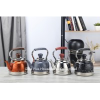 Quality Stainless Steel Tea Kettle for sale