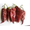 china 12CM Dry Red Chilli Whole Xinglong 10KG Dried Asian Chili Peppers