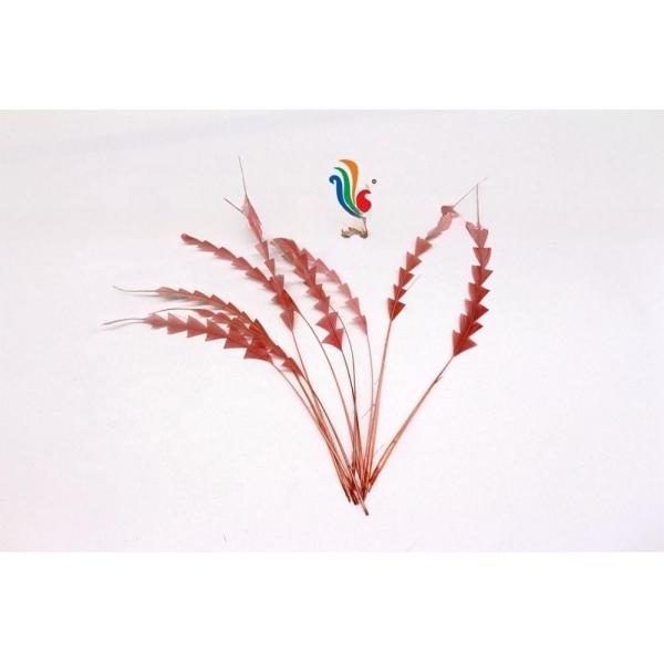 Quality Dyed Stripped Rooster Coque Feathers with Fast Shipping via DHL UPS FEDEX EMS for sale