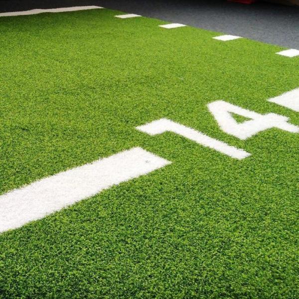 Quality Dorelom Fitness Lawn Carpet Flooring Black Blue Rainbow Synthetic Fake Turf Gym Artificial Grass For Fitness for sale