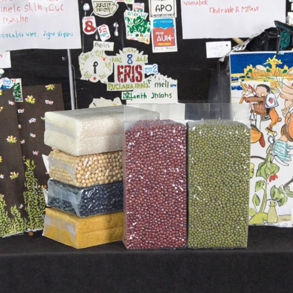 Quality Multi Purpose Design Corrosion-proof Transparent PA PE Plastic Vacuum Packaging for sale