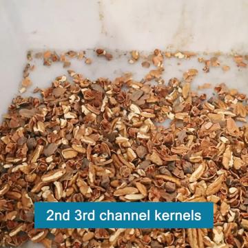 Quality 220V 100000 Pieces CE Approved Pecan Shelling Machine Up To 2T Output Each Hour for sale