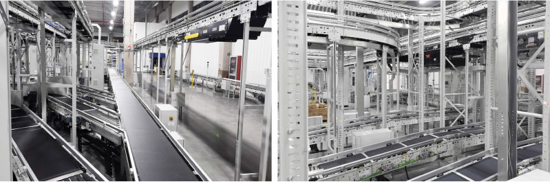 Box Conveyor & Sorting System 