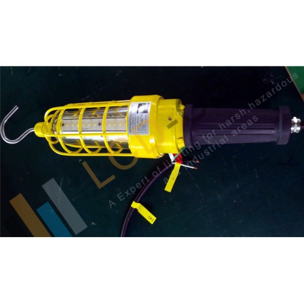 Quality 220V IP68 LED Flood Light for sale